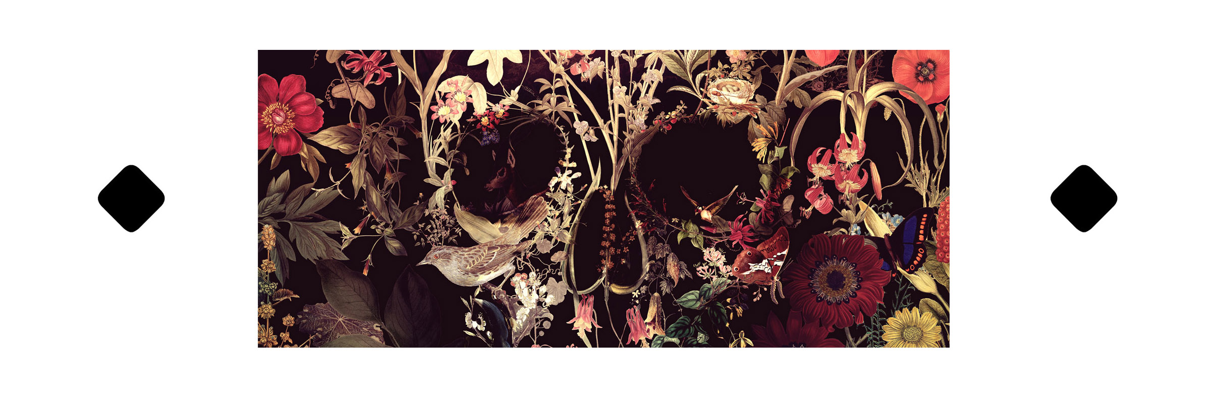 Ali Gulec | Happywall