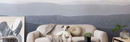 Get your wall mural today - Free shipping at happywall.com