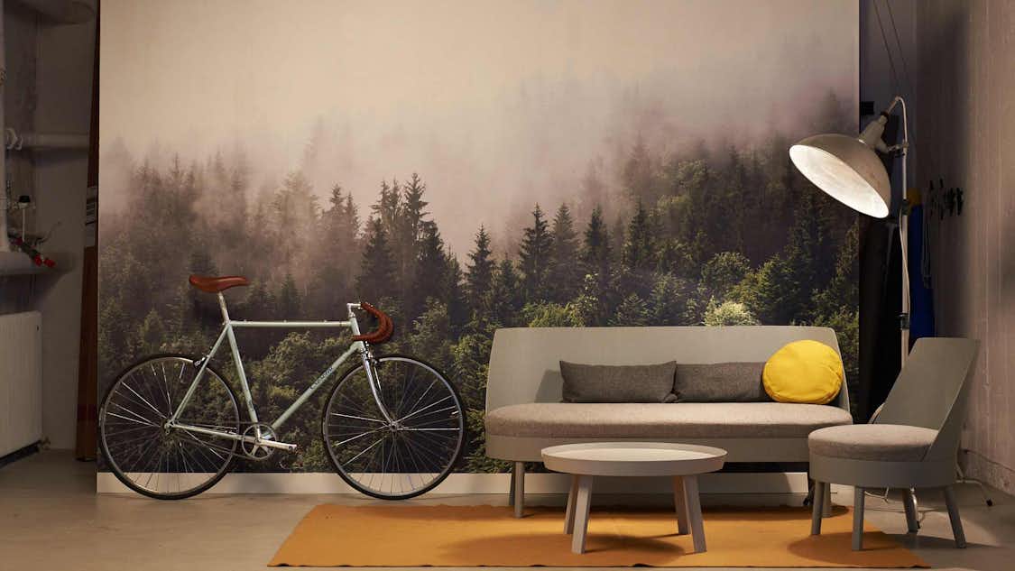 Fototapeter | Fondväggar | Happywall